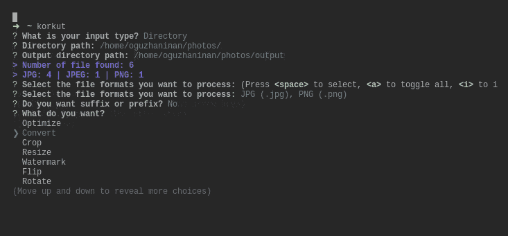 Korkut – An Open-Source "Image Processing" Tool at the Terminal